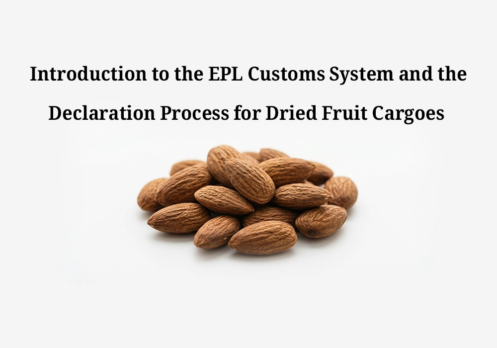 Comprehensive Guide to EPL Customs System & Dried Fruit Export Declara
